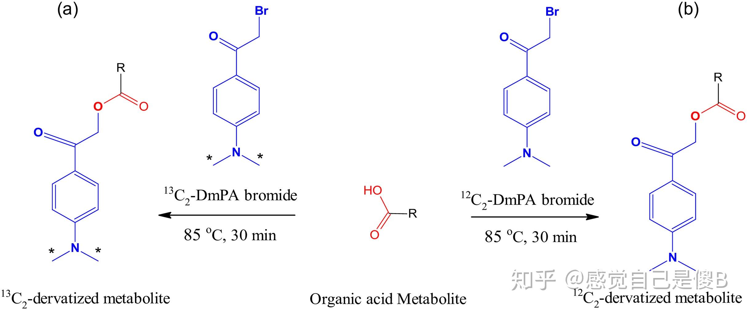 常用的衍生化反应01（bio Analytical 知乎 