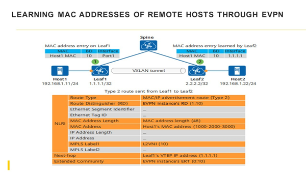 一文读懂EVPN技术 - 知乎
