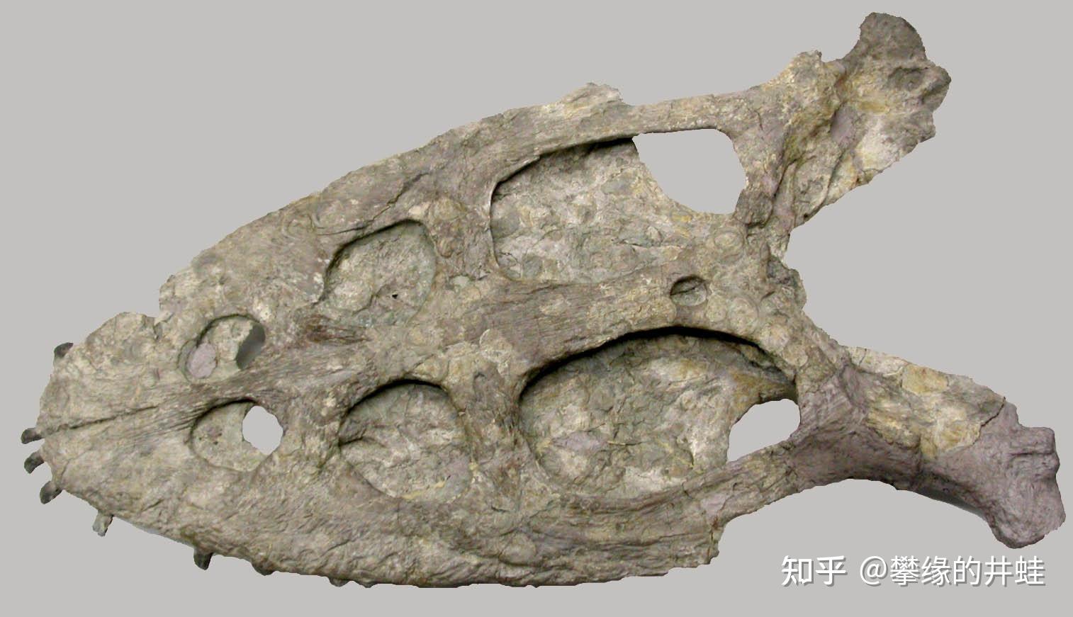 第二百八十六回 幽蓝幻想曲2：逼近的暗影 - 知乎