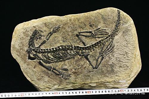 【地球演义】水陆空v1.0 - 知乎