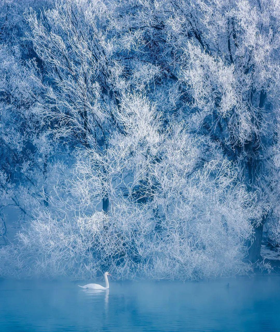 错过这20个地方，你就错过了中国最美的冬天！ - 知乎