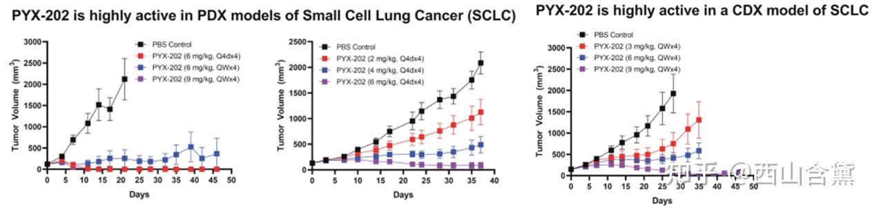 国内外知名企业ADC技术平台(第十三期)-Pyxis Oncology - 知乎