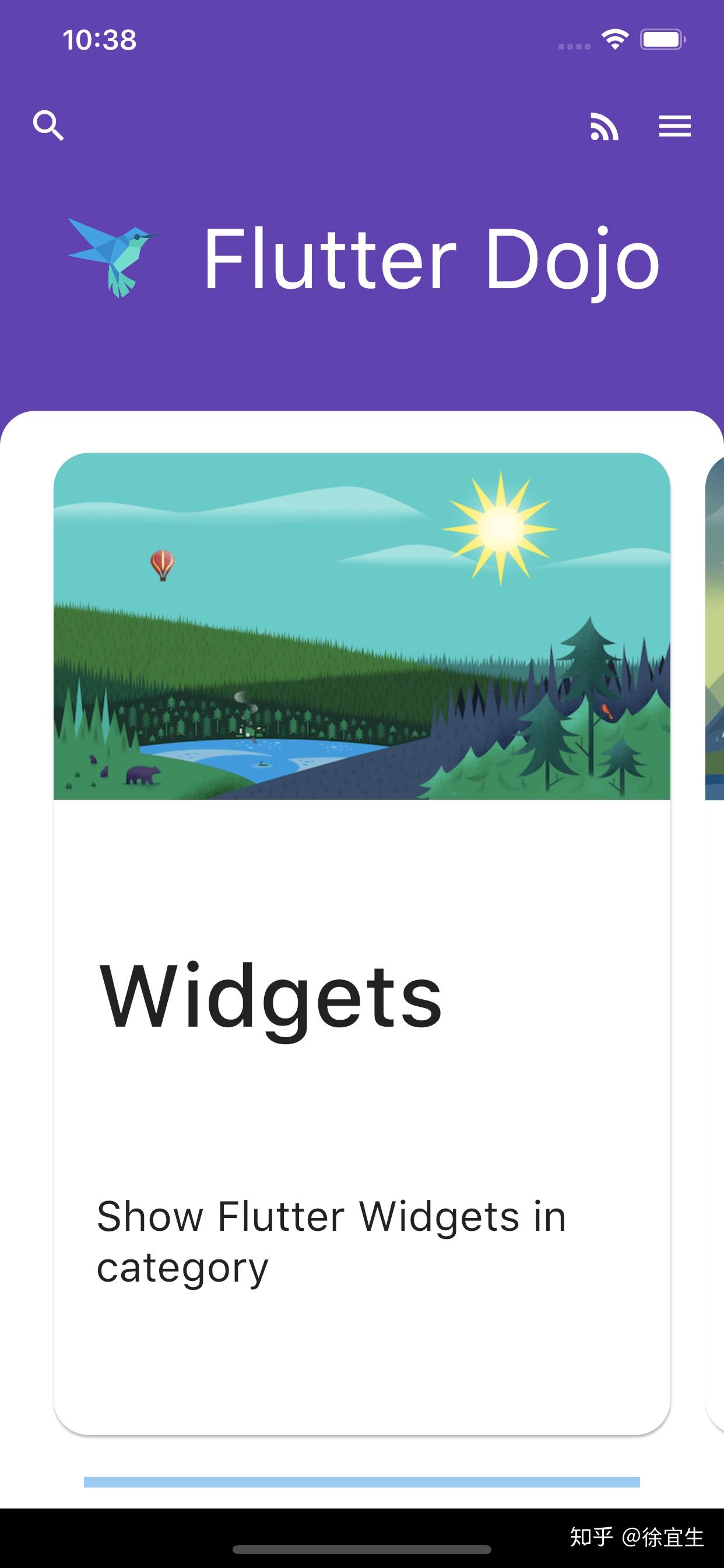 Flutter Dojo的设计之道 - 知乎