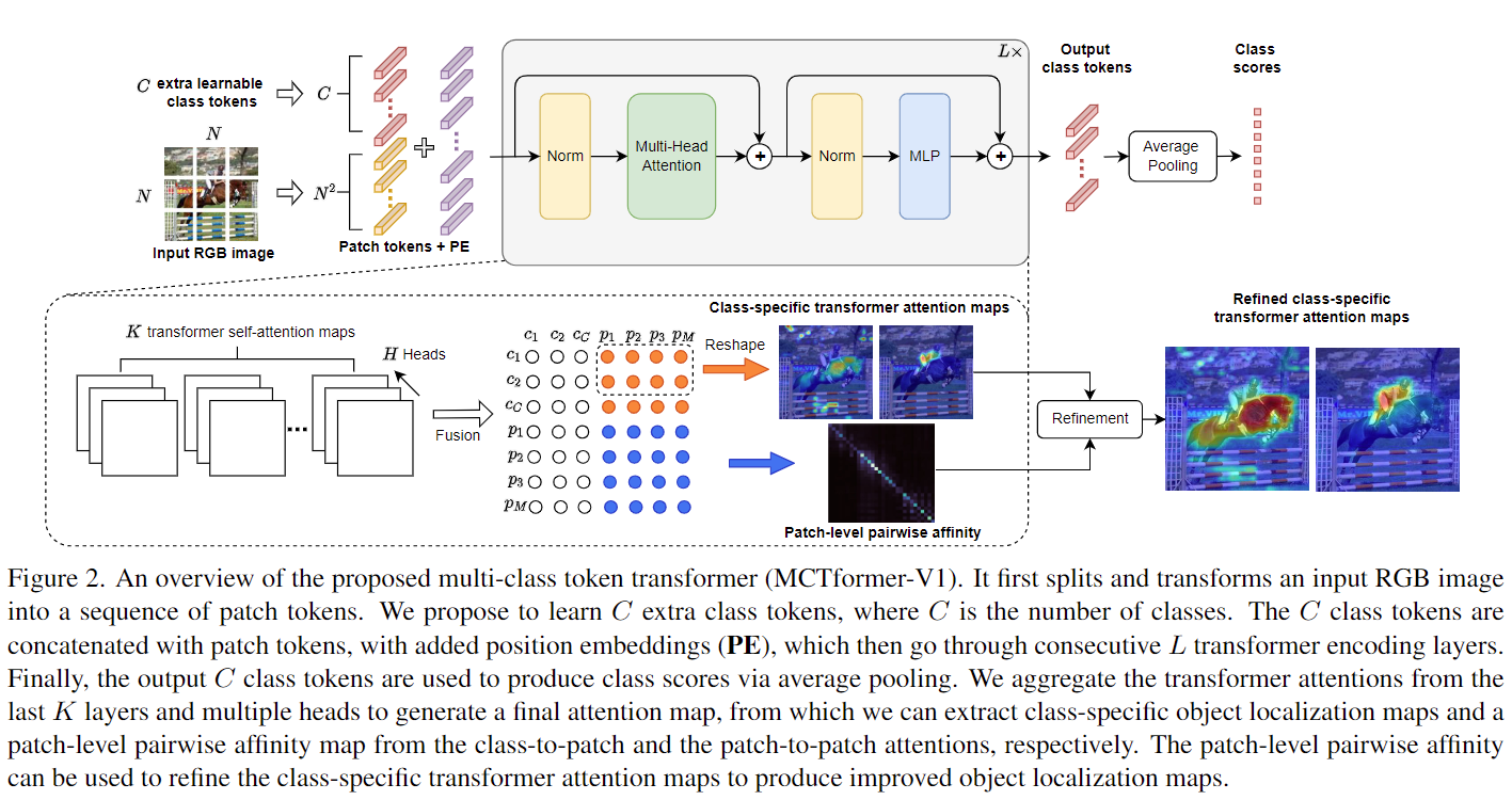 【论文阅读】《Multi-class Token Transformer for Weakly Supervised Semantic Segmentation(CVPR2022)》 - 知乎
