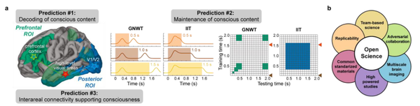 IIT vs GNWT：意识理论对比检验 - 知乎