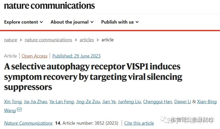 Nature Communications | 中国农业大学王献兵课题组揭示选择性自噬受体VISP1靶标病毒沉默抑制子诱导病毒症状恢复的抗病新 ...