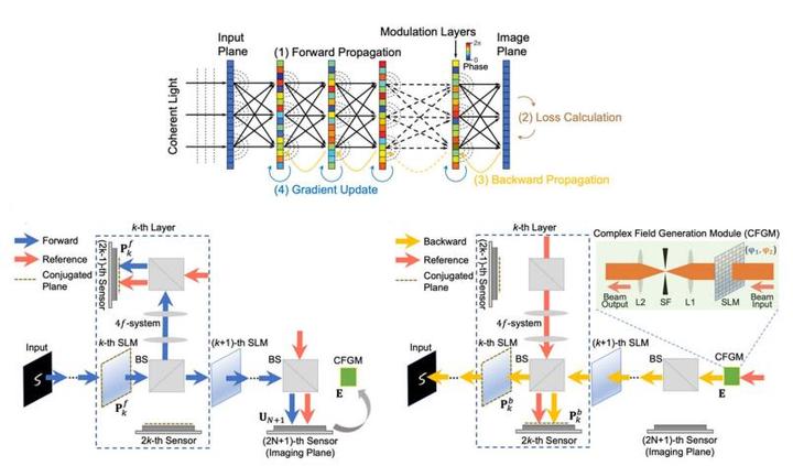 [光计算与人工智能]论文阅读3：In situ optical backpropagation training of diffractive optical neural networks - 知乎
