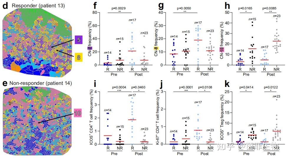 Nat Commun | CODEX——SpatialScore预测皮肤T细胞淋巴瘤对PD-1阻断响应的空间生物标志物 - 知乎