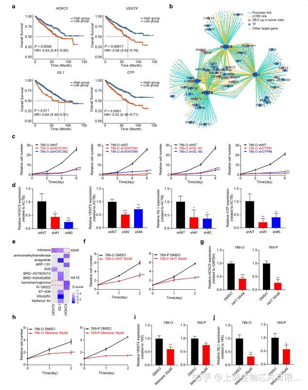 IF 38！如何用单细胞多组学思路研究肿瘤异质性 - 知乎