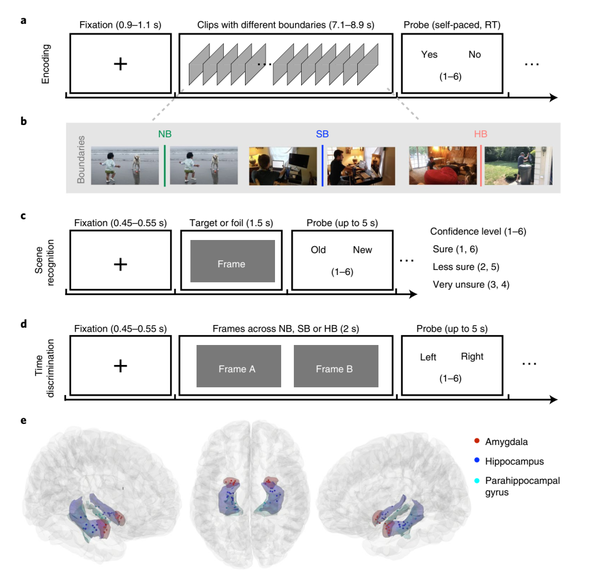 Nature Neurosci 最新研究：神经元检测认知边界以构建人类的情景记忆 - 知乎