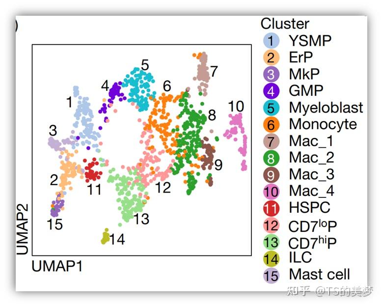 Nature作图也出错:单细胞umap Tsne图的ggplot做法与修饰 知乎