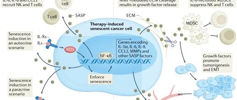 单细胞挖掘系列（二）——CancerSCEM单细胞数据库使用指南 - 知乎