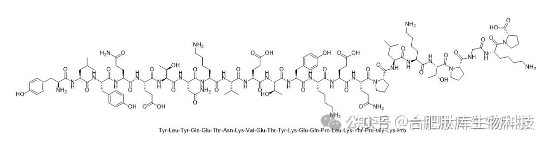 经典核定位信号肽(NLS)汇总 - 知乎