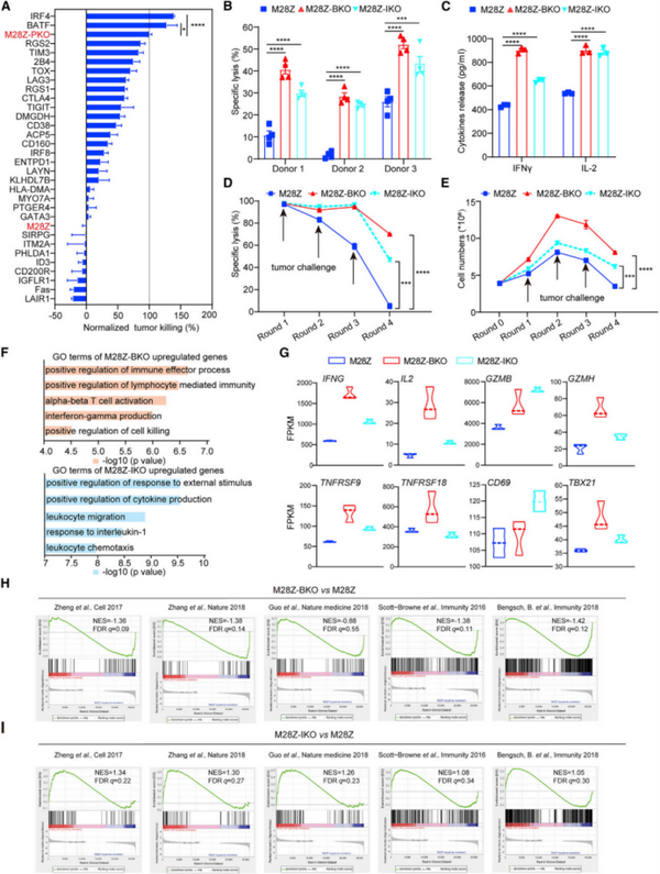 Cancer Cell & ChIP-seq助力揭示BATF缺失可增加CAR-T细胞抗肿瘤活性的研究 - 知乎