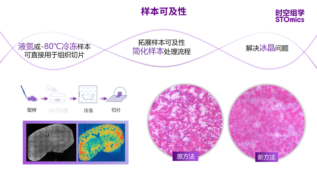 重磅 | 人人可及，时空组学技术Stereo-seq再次升级 - 知乎