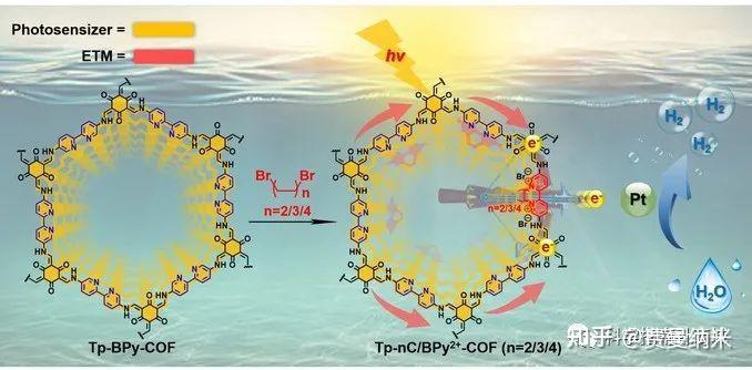 牛刊必备—COFs材料 - 知乎