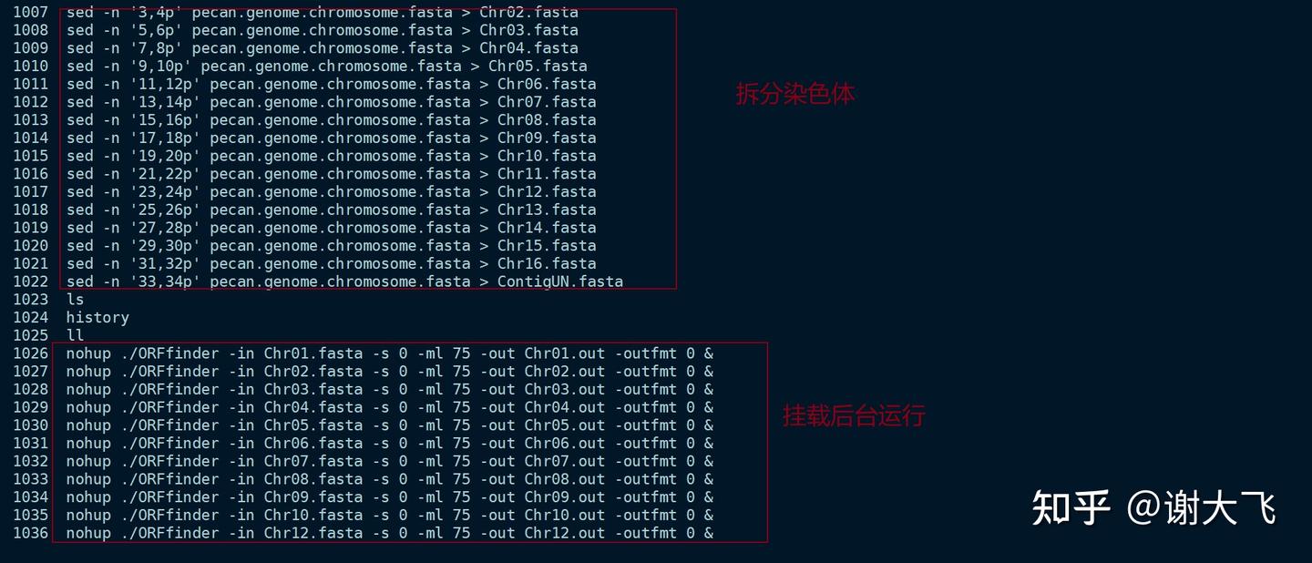 ORF finder 安装与使用 - 知乎