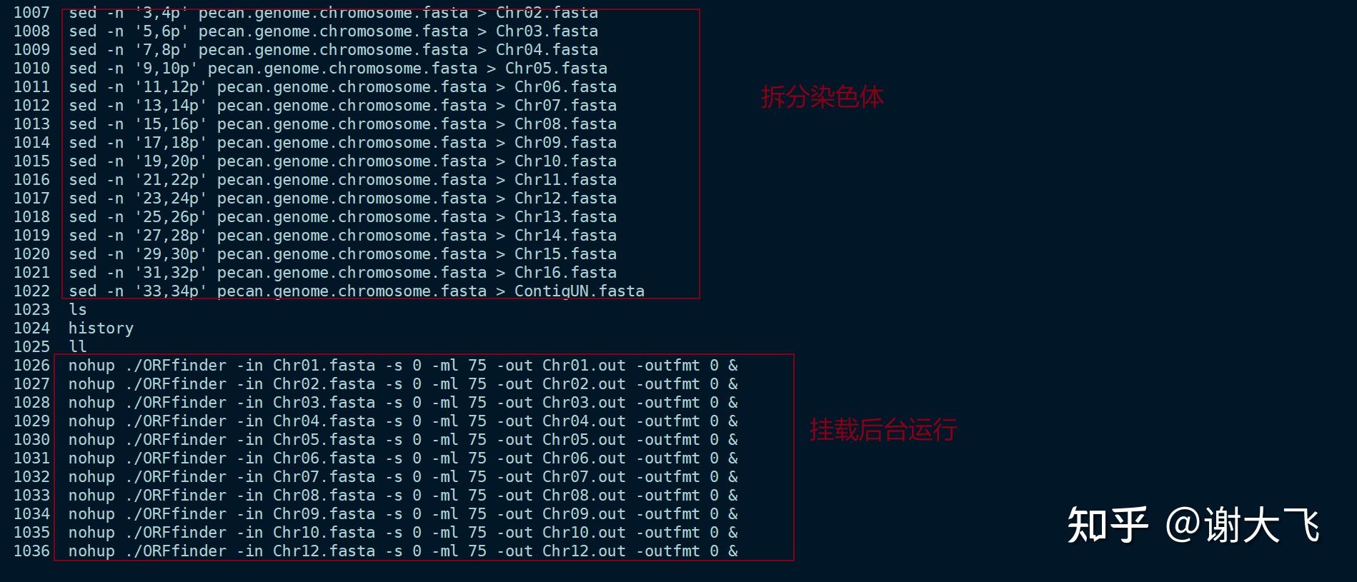 ORF finder 安装与使用 - 知乎