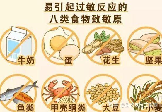 宝宝对牛奶蛋白过敏,八类易过敏食物还能吃吗 知乎