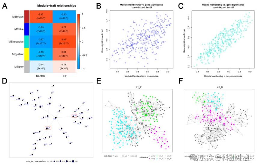上海某团队使用孟德尔随机化+机器学习+转录组分析，将OGN识别为心衰诊断的血浆生物标志物 - 知乎