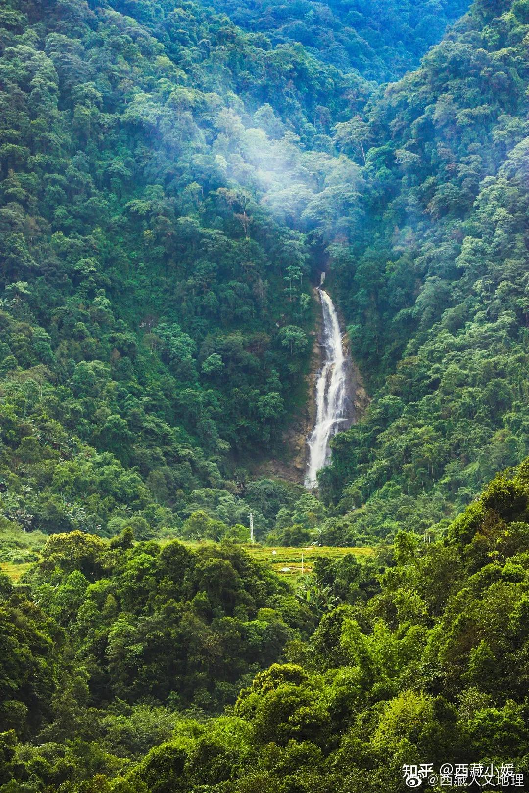 去林芝墨脱怎么玩？墨脱旅游攻略看这里！穿越最后的西藏秘境—像莲花般盛开的墨脱。 - 知乎