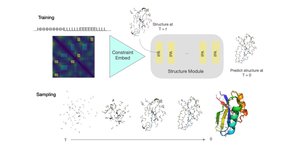 范式再颠覆 | RF Diffusion最强扩散式蛋白设计模型 - 知乎