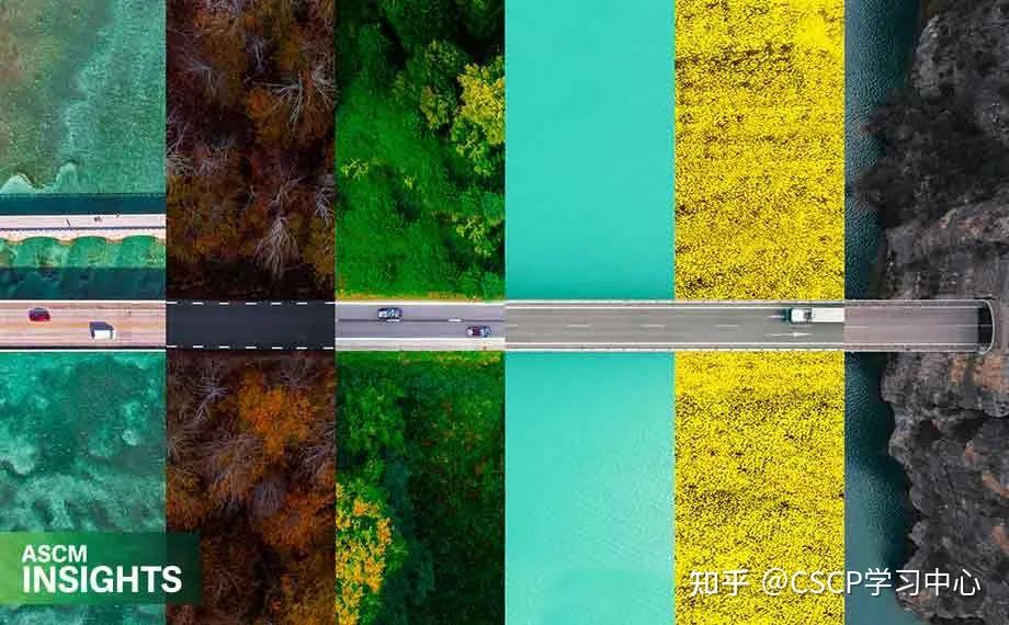 【CSCP培训】APICS-Which Supply Chain Model Is Right for You? 哪种供应链模式适合您？ - 知乎