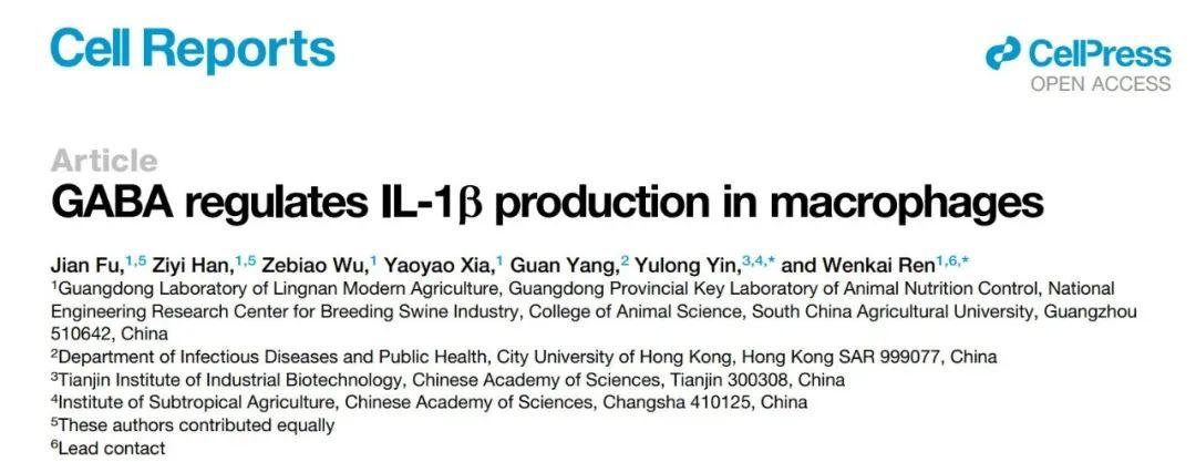 Cell Rep | 任文凯/印遇龙院士团队琥珀酰化修饰组学揭示GABA调控巨噬细胞命运机制 - 知乎