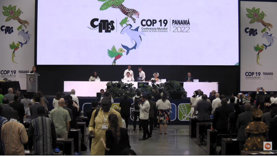 CITES CoP19第一天要点总结｜绿会代表团巴拿马讯 - 知乎
