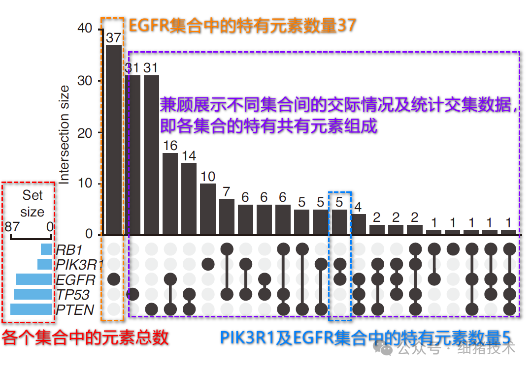 R绘制UpSet图 - 知乎
