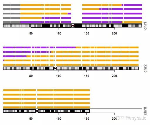 画最美染色体，就要用这个新工具 | 今天被CRAN接收 - 知乎