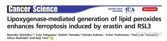 TargetMol明星分子——RSL3& Erastin - 知乎