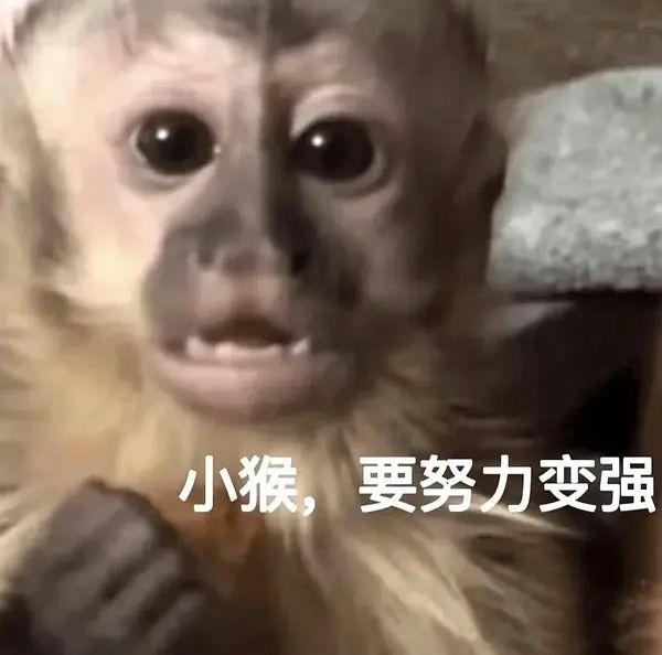 吗喽表情包、猴子表情包，高清无水印 - 知乎