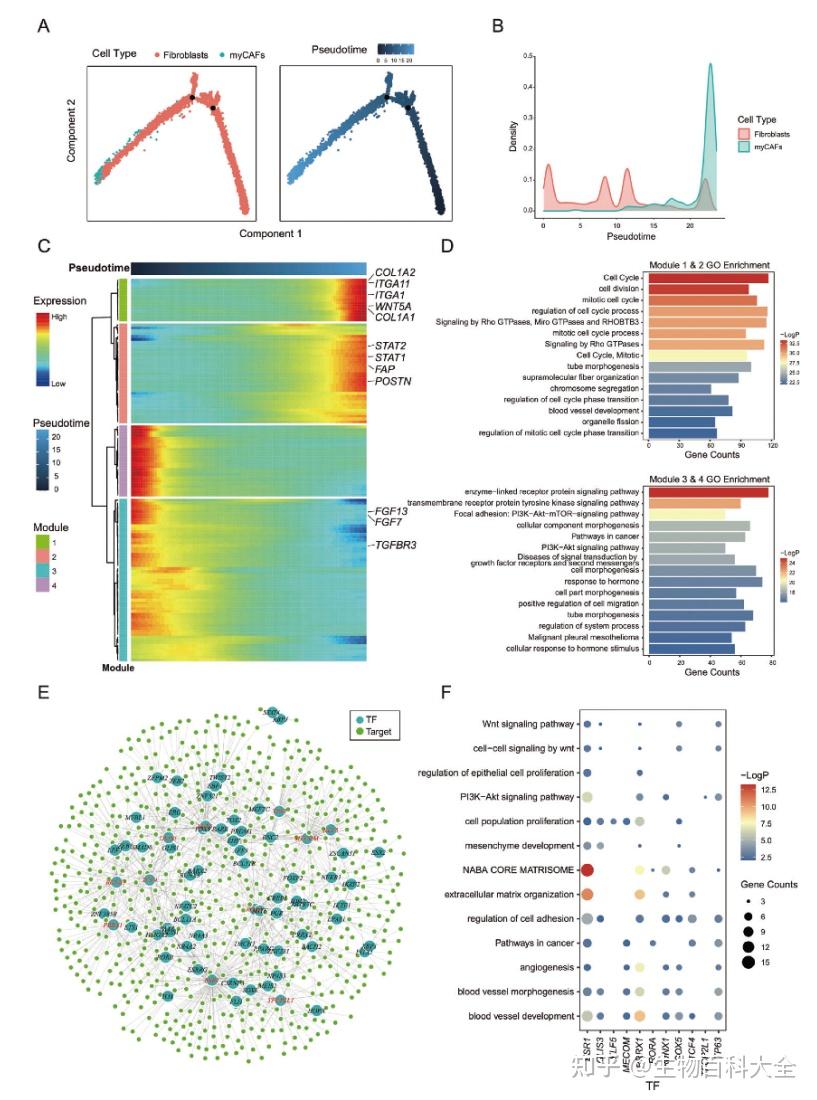 文献解读｜单核RNA测序和空间转录组学揭示宫颈鳞状细胞癌的免疫微环境 - 知乎