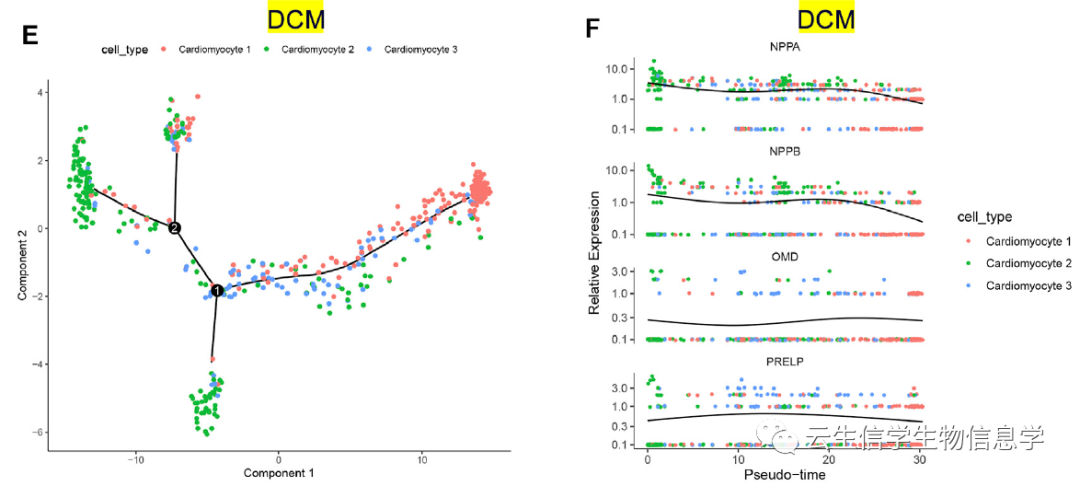 双疾病纯生信分析又添新思路！6分+WGCNA和机器学习鉴定诊断基因+关键信号通路！不蹭热点也能轻松发文~ - 知乎