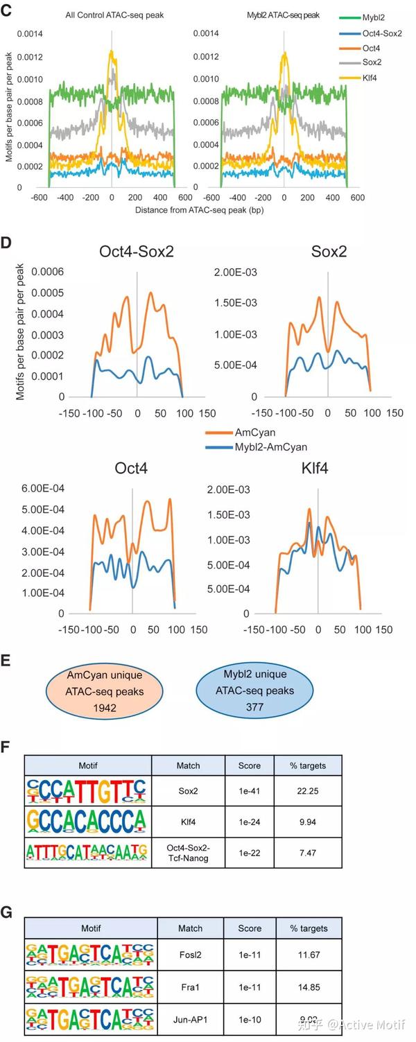 五分钟带你了解ATAC-seq测序 - 知乎