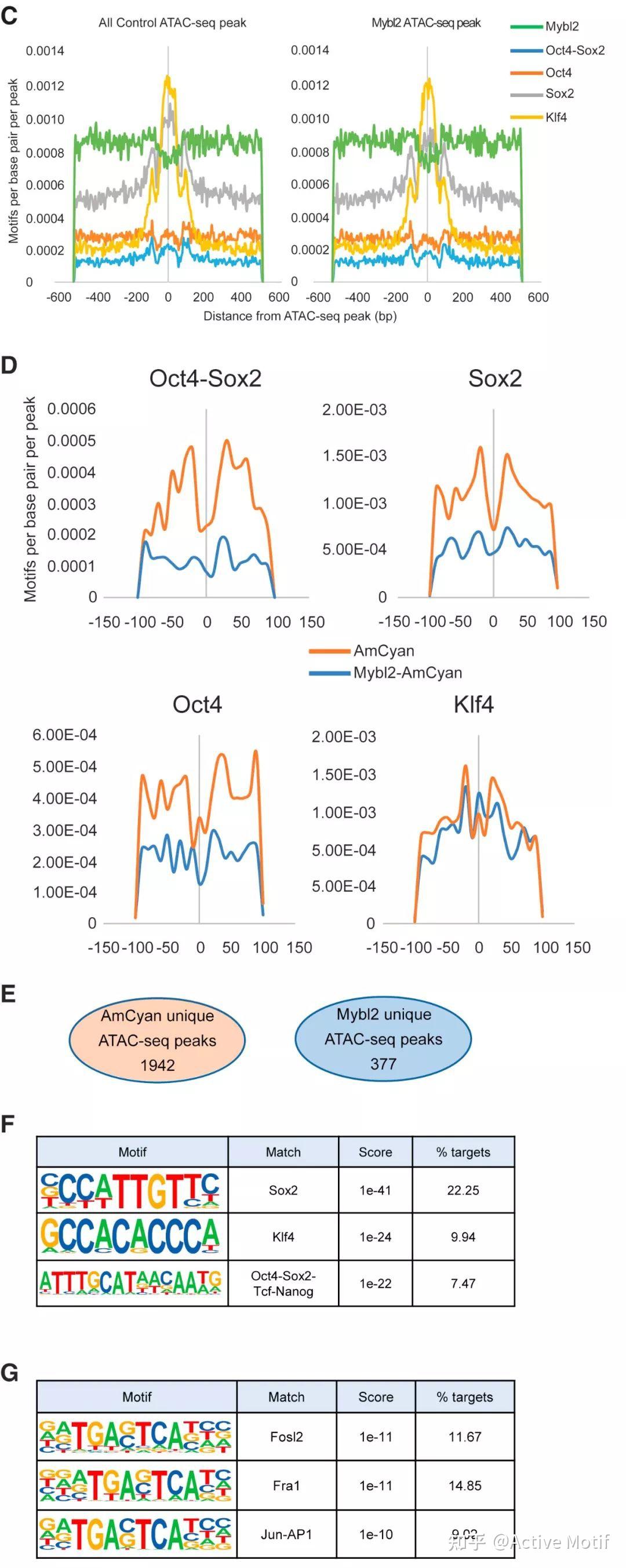五分钟带你了解ATAC-seq测序 - 知乎
