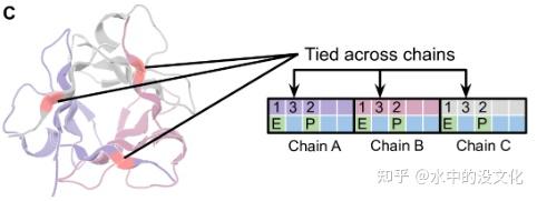 ProteinMPNN使用与介绍 - 知乎