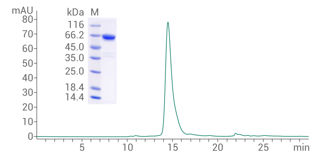 IGFBP7：免疫治疗新靶点 - 知乎