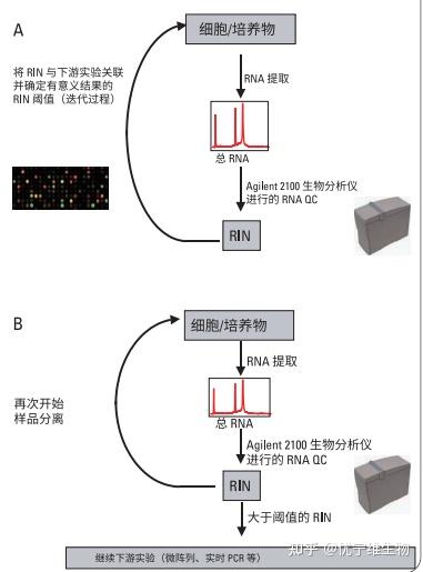 六大问带你看懂 RNA 质控金标准-RNA 完整值 (RIN) - 知乎