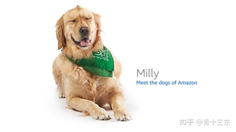 【多图预警】亚马逊Listing变成的狗到底有多少只？ - 知乎