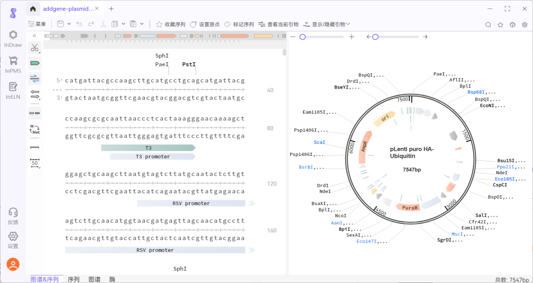 不止SnapGene，鹰谷免费版InSequence序列编辑器，引物设计、序列比对、质粒设计看过来！ - 知乎