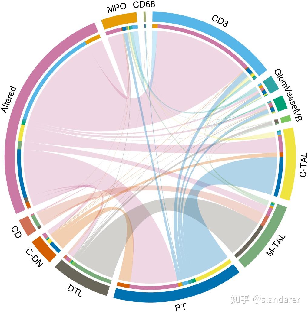 MATLAB | 秒杀Nature绘图 | 附带弦图绘制函数版本更新 - 知乎