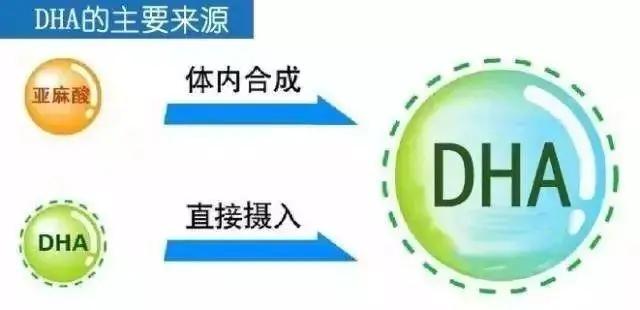 为什么DHA在孕期如此重要？DHA是什么、怎么选？一篇给你解释清楚DHA的功效 - 知乎