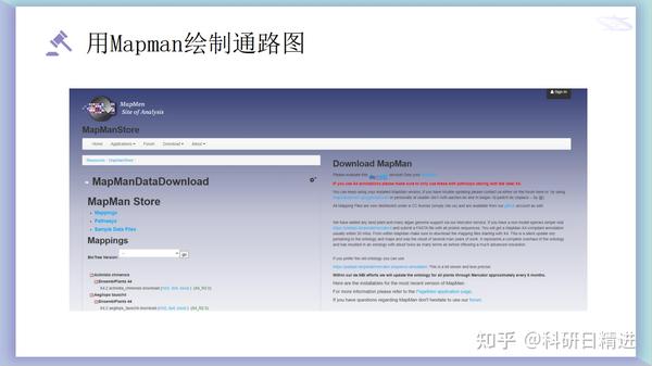 画通路图的神器 - Mapman的使用 - 知乎