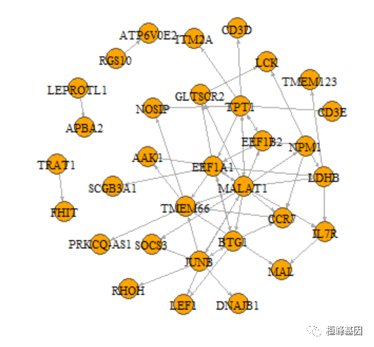 RNA 26. SCI文章中基于转录组数据的基因调控网络推断 (GENIE3) - 知乎