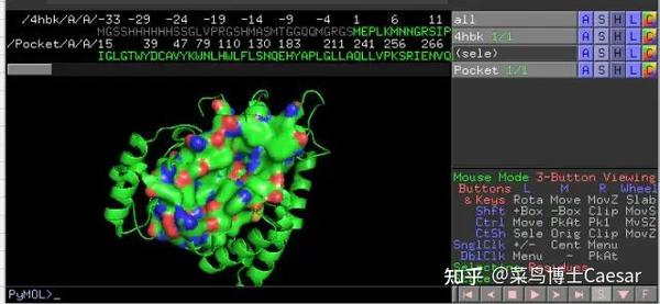 【分子动力学】PyMol入门教程 - 知乎
