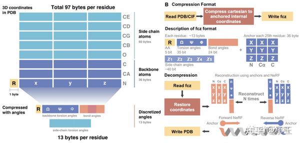 蛋白结构生物信息学的造极：AlphaFold DB的结构挖掘 - 知乎