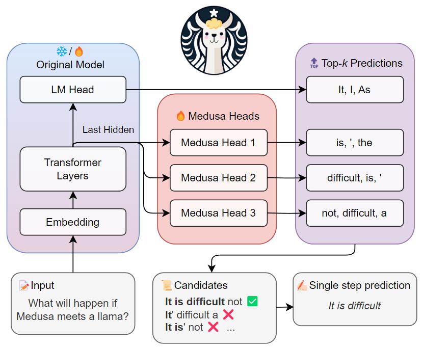 Speculative Decoding 论文阅读合订本 知乎