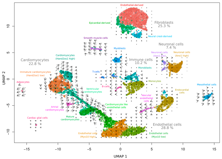 干货分享丨一文详解单细胞核RNA测序（snRNA-seq）最新应用与进展 - 知乎